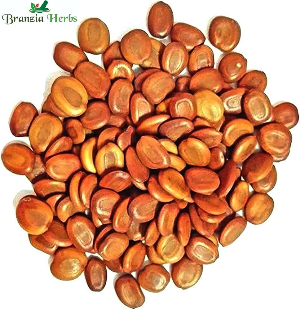 Albizia Lebbeck Fry Wood (Vagai Seed) Women’s Tongue Tree Seed ...